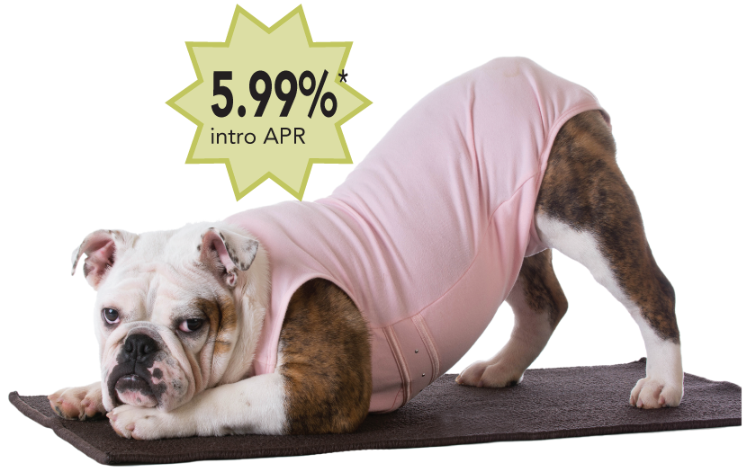 Home - Alpine Credit Union